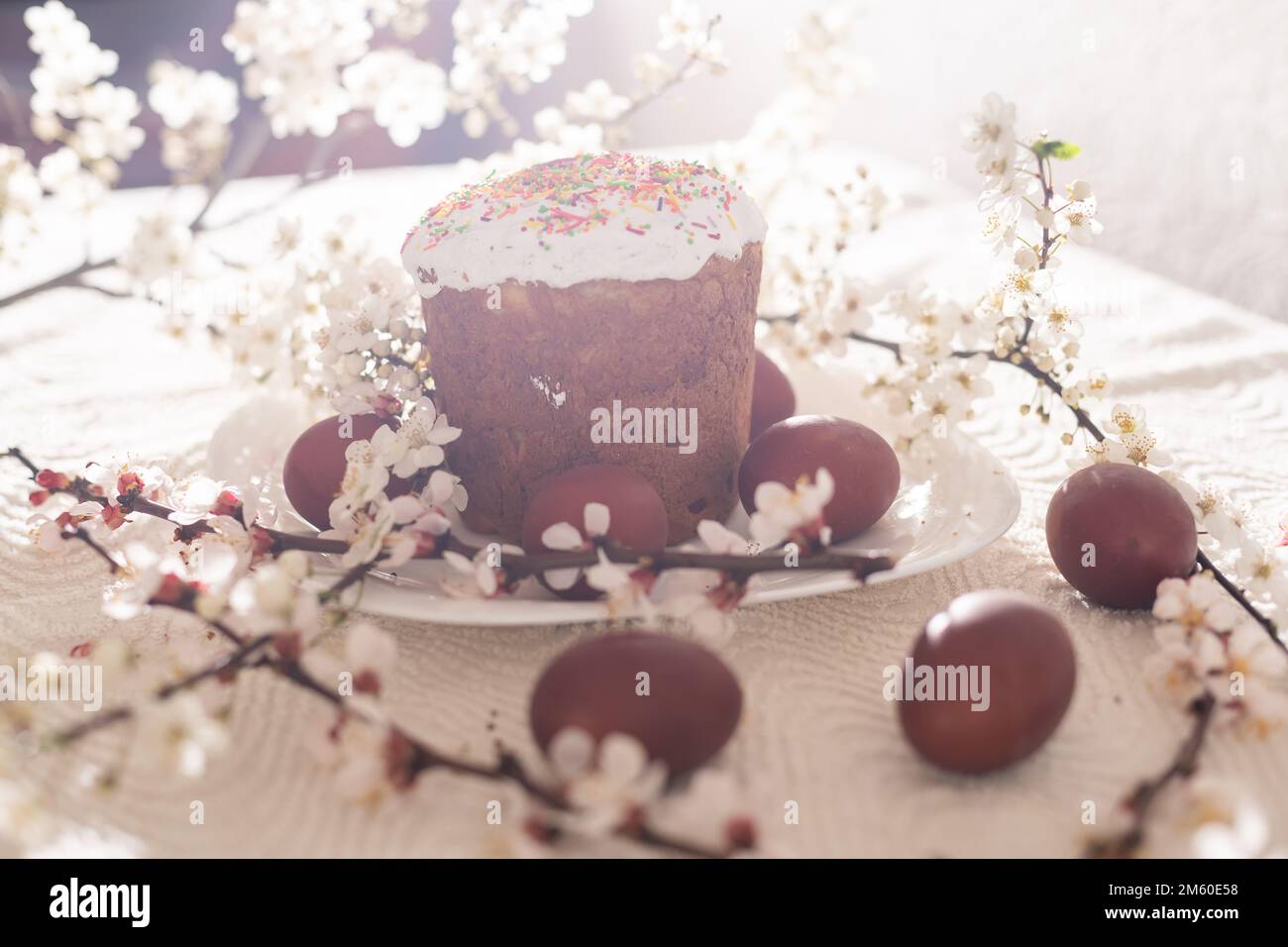 Easter background with colored eggs, colored easter eggs and blooming ...