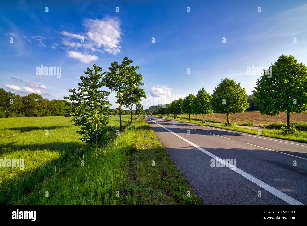 Empty federal road 64, B 64 between Hoexter and Holzminden, meadows and ...