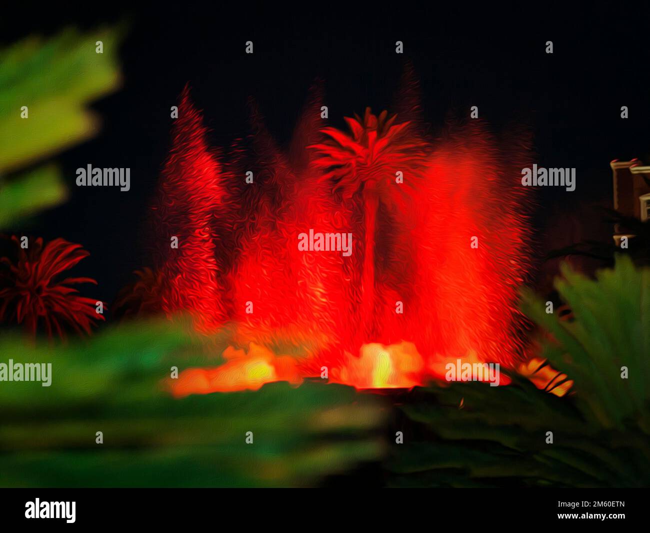 Red illuminated water fountains and palm trees at night, colourful ...