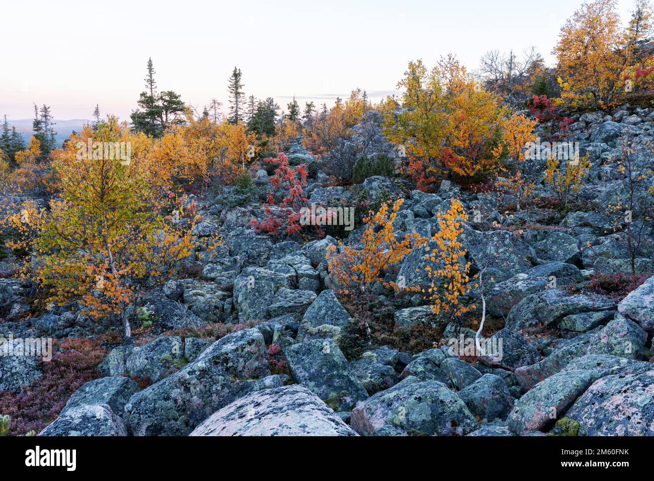 A view from a rocky Iso Pyhätunturi peak on an autumn morning in Salla ...