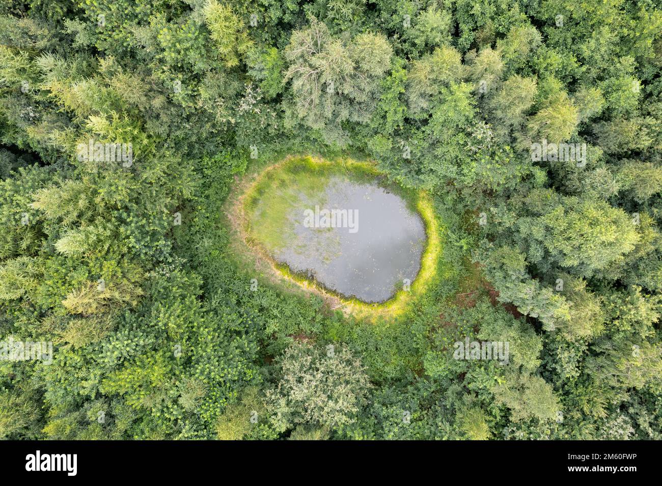Aerial photograph of small water bodies in the forest, small water ...