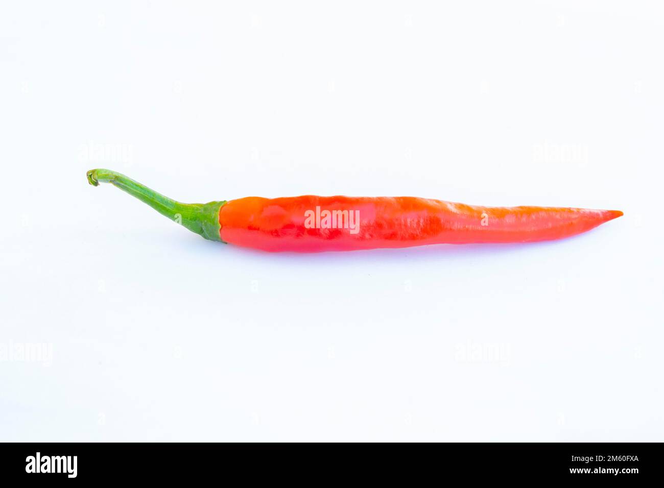 Chili Pepper (Capsicum annuum) Chili Red isolated on white background ...