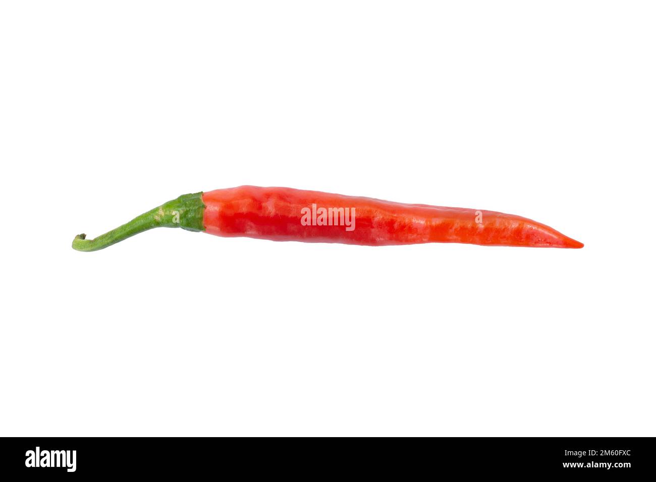 Chili Pepper (Capsicum annuum) Chili Red isolated on white background ...