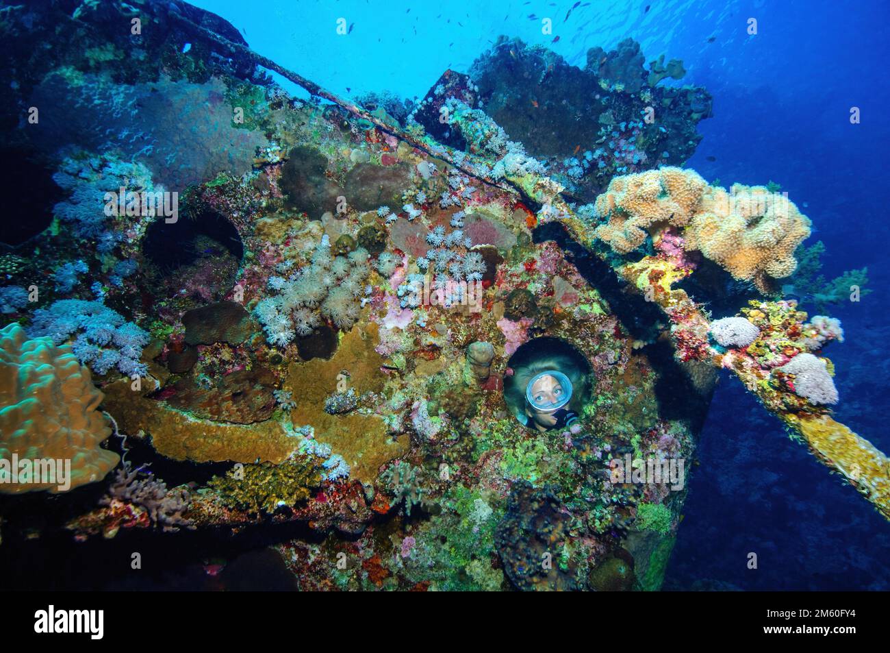 Diver looks into shipwreck through porthole of sunken ship with ...