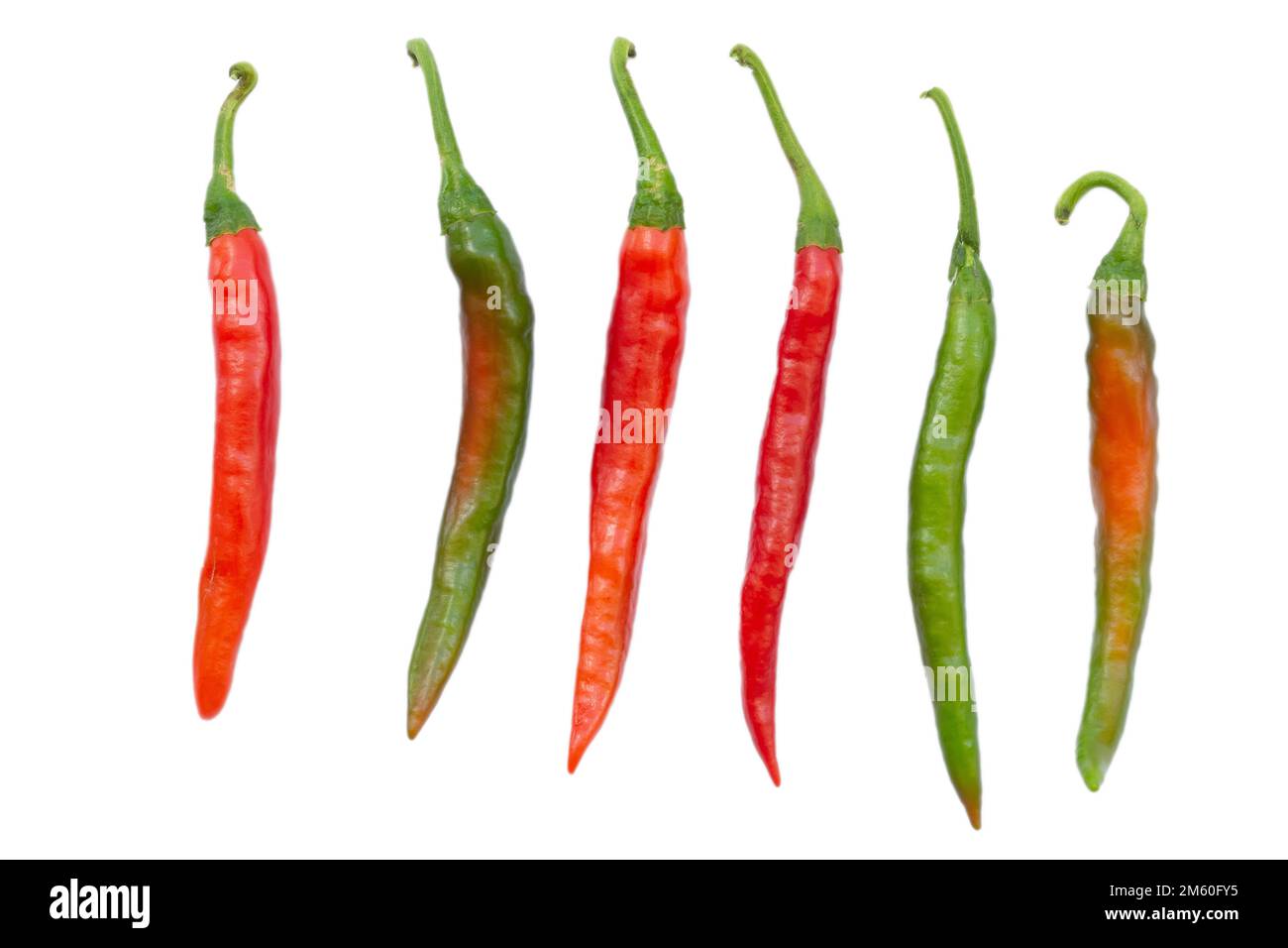 Chili Pepper (Capsicum annuum) Chili Red isolated on white background ...