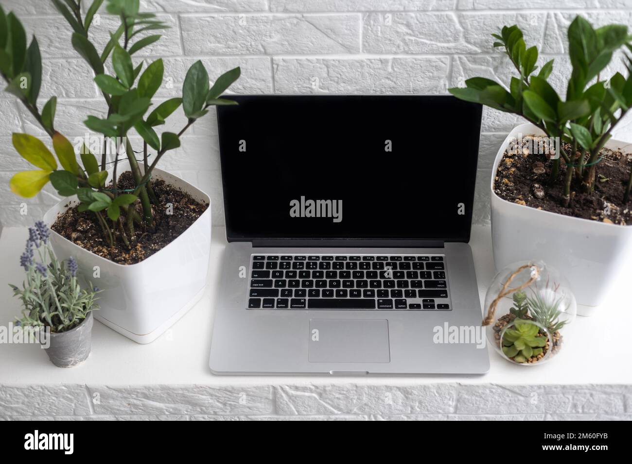 Enjoying working from an atmospheric home office full of green plants ...