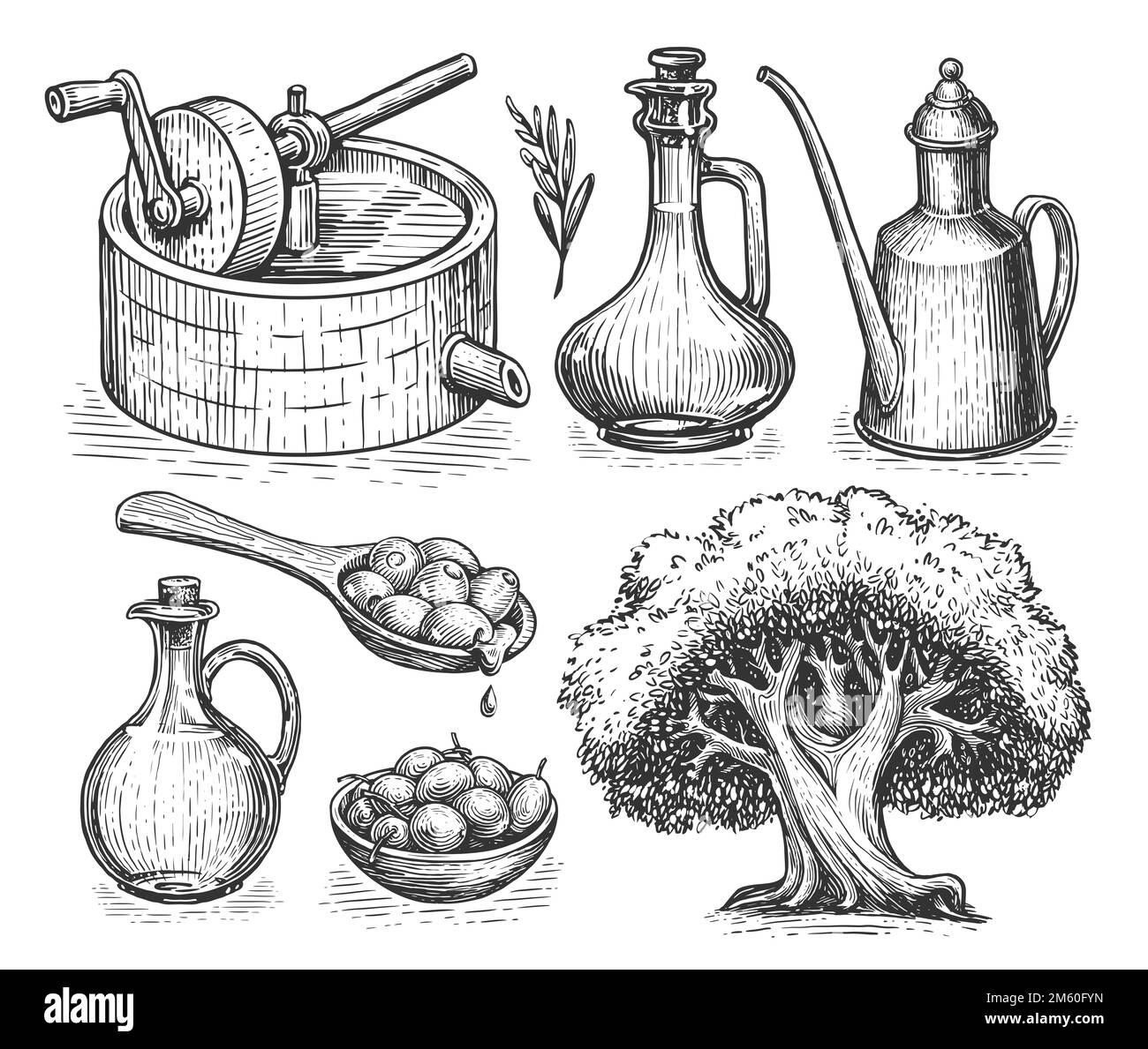 Olive oil production concept. Extra virgin, healthy organic natural ...