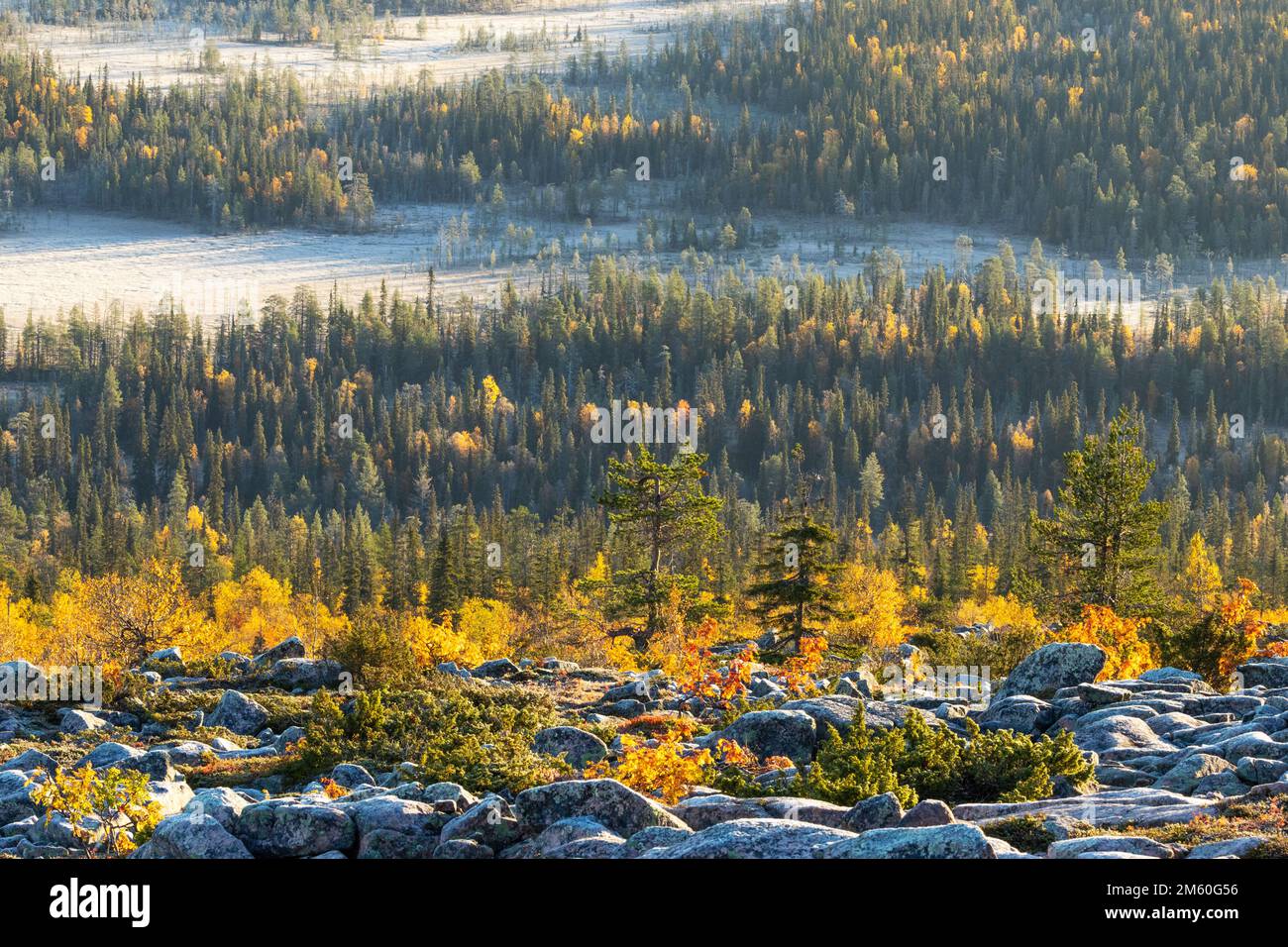 Pyhatunturi national park hi-res stock photography and images - Alamy