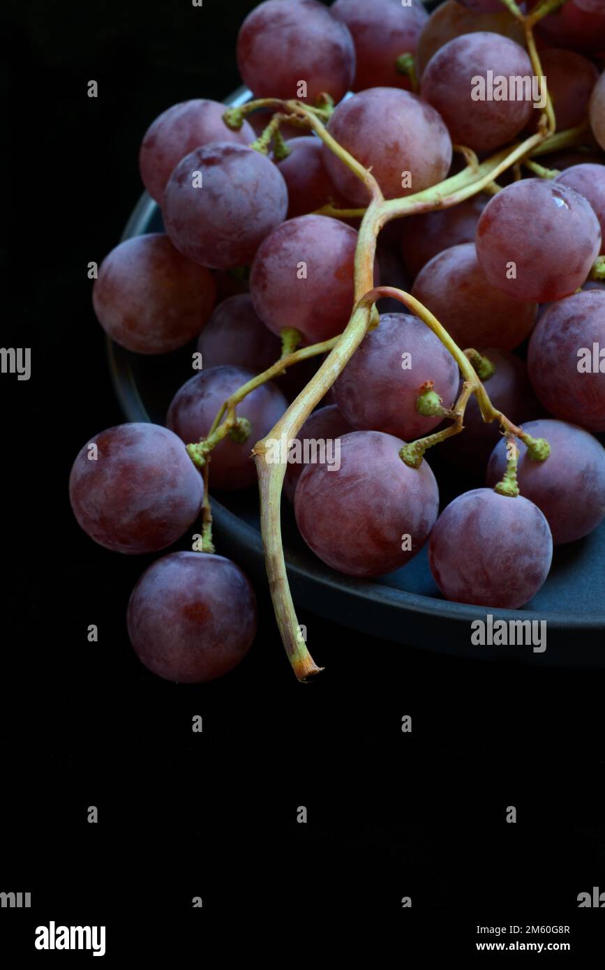 Red grape vine (Vitis vinifera) on plate against dark background Stock ...