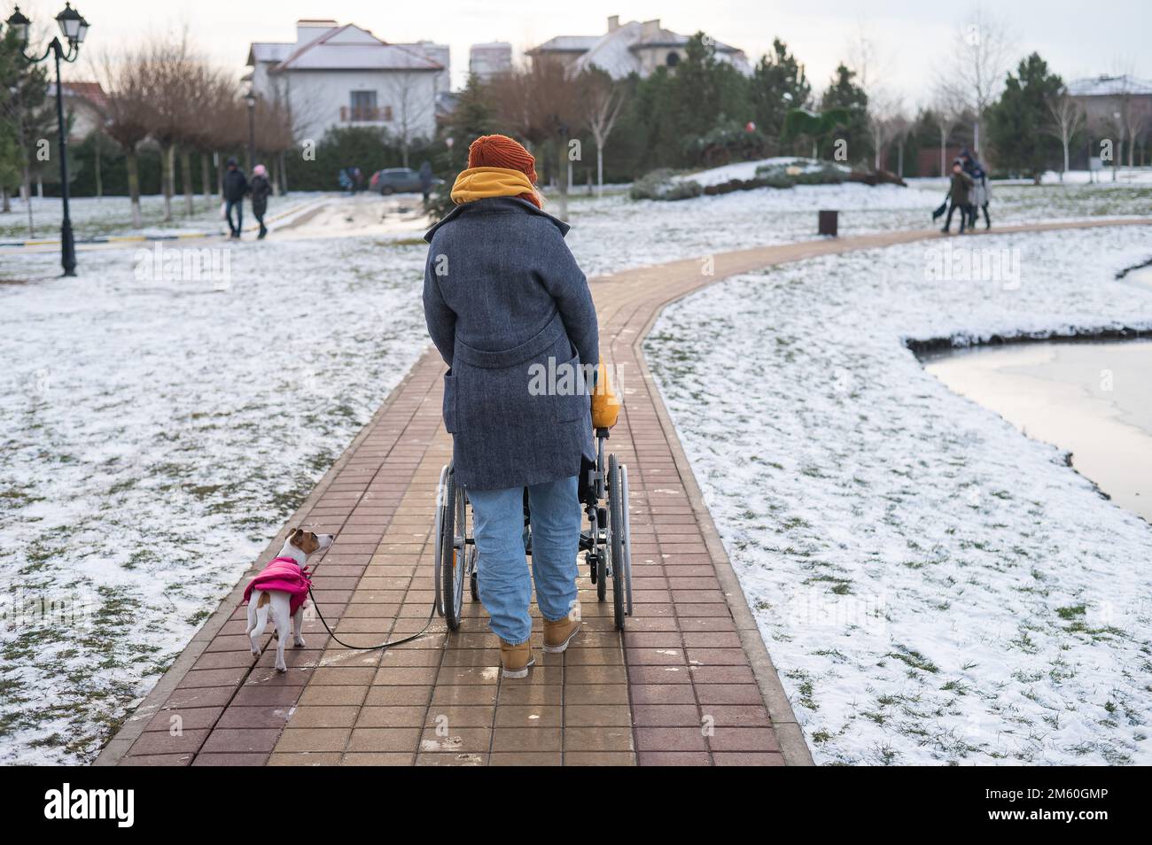 Caucasian woman driving her friend in a wheelchair along the lake in ...