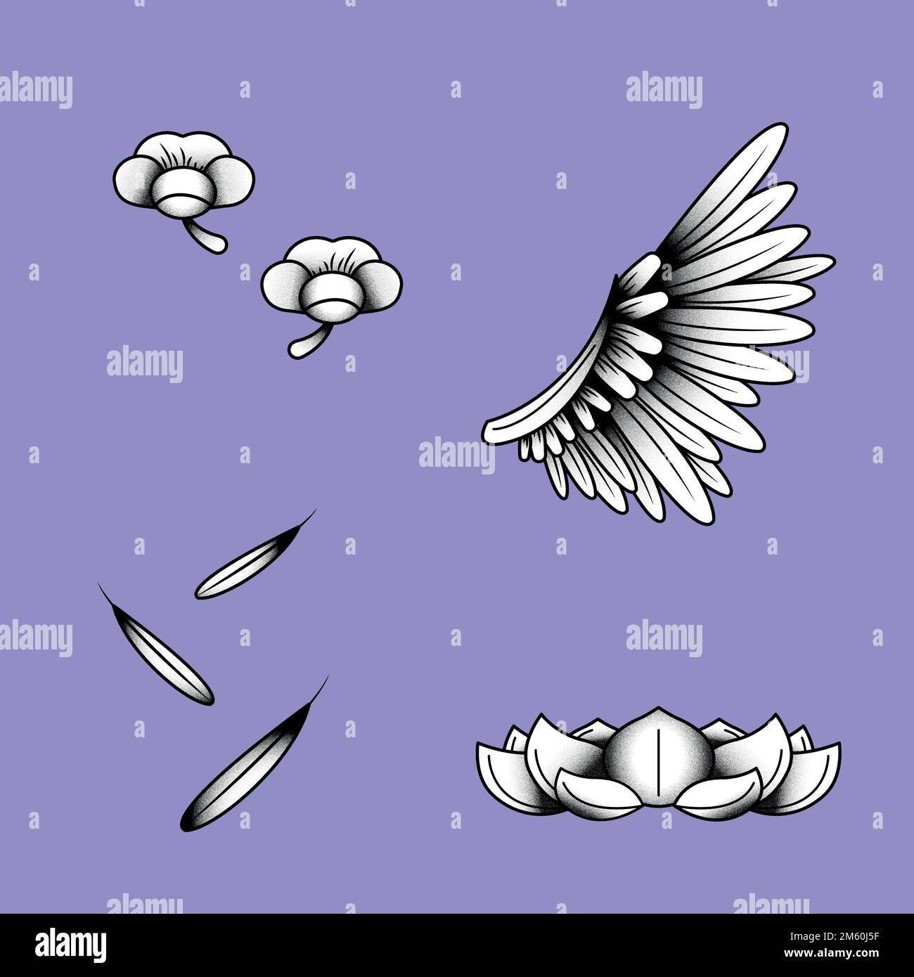 Bird wing and flower element set on a purple background vector Stock ...