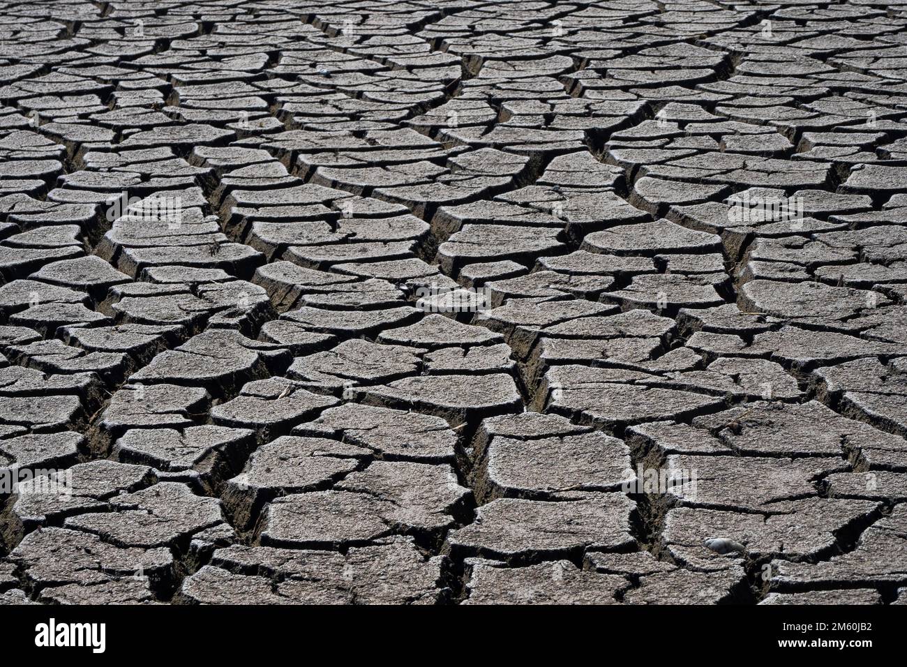Heavily desiccated soil of Lake Neusiedl, Lake Neusiedl-Seewinkel ...