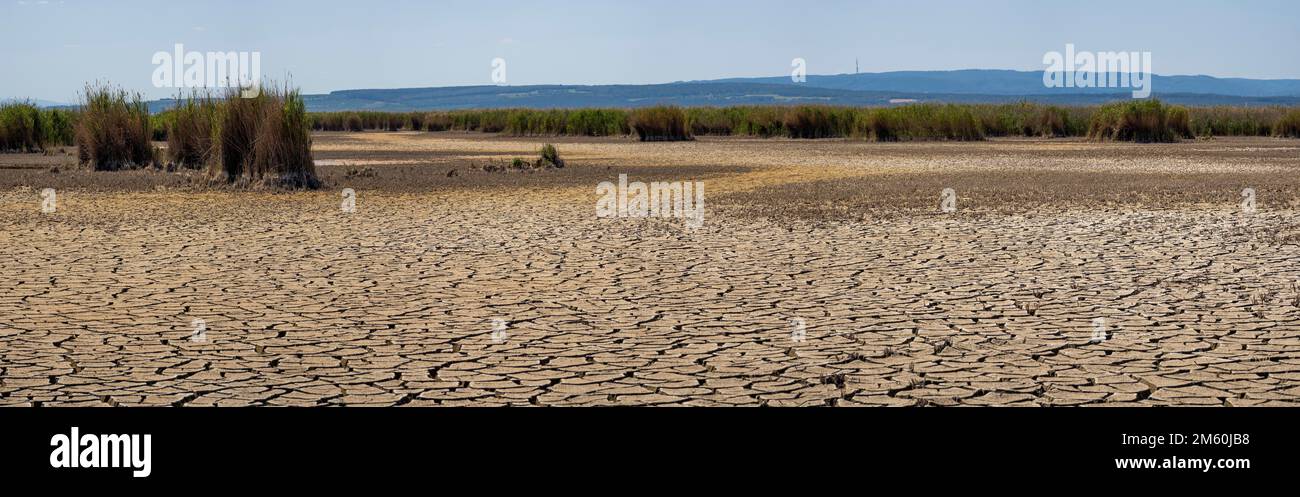 Heavily desiccated soil of Lake Neusiedl, Lake Neusiedl-Seewinkel ...