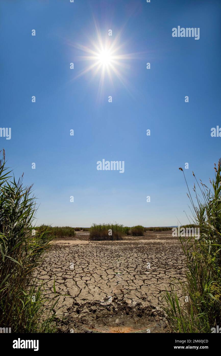 Heavily desiccated soil of Lake Neusiedl, Lake Neusiedl-Seewinkel ...