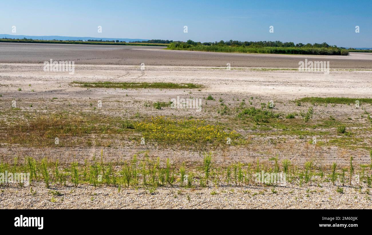 Heavily dried-up Zicksee, Lake Neusiedl-Seewinkel National Park, Burgenland, Austria Stock Photo ...