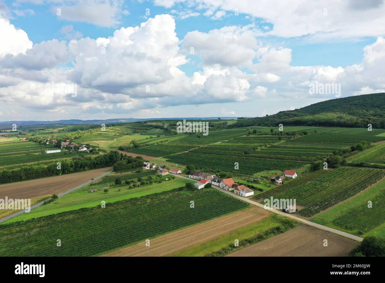 Aerial view, landscape with field vineyard, cellar alley, Weinviertel ...