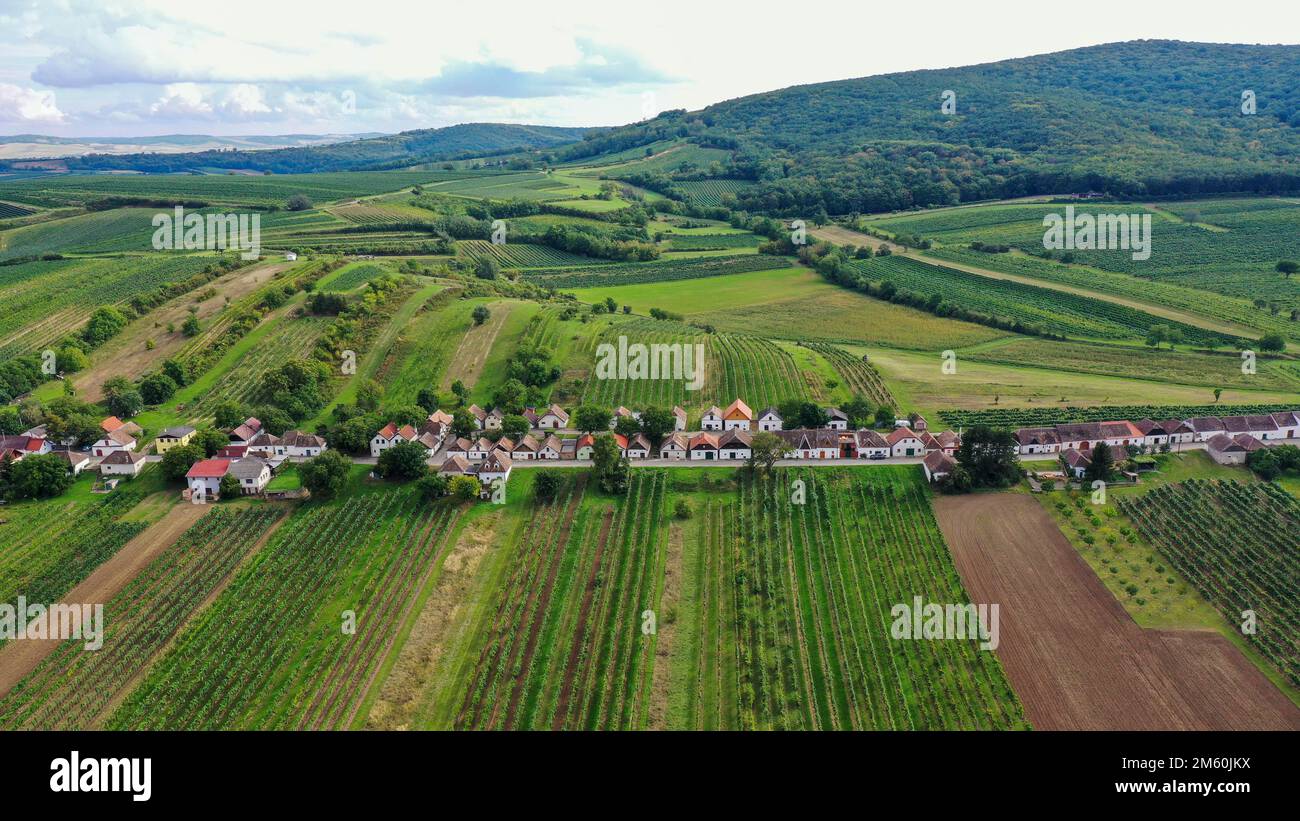 Aerial view, landscape with field vineyard, cellar alley, Weinviertel ...