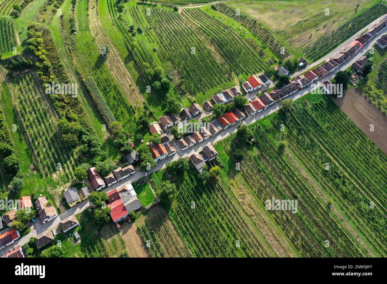 Aerial view, landscape with field vineyard, cellar alley, Weinviertel ...