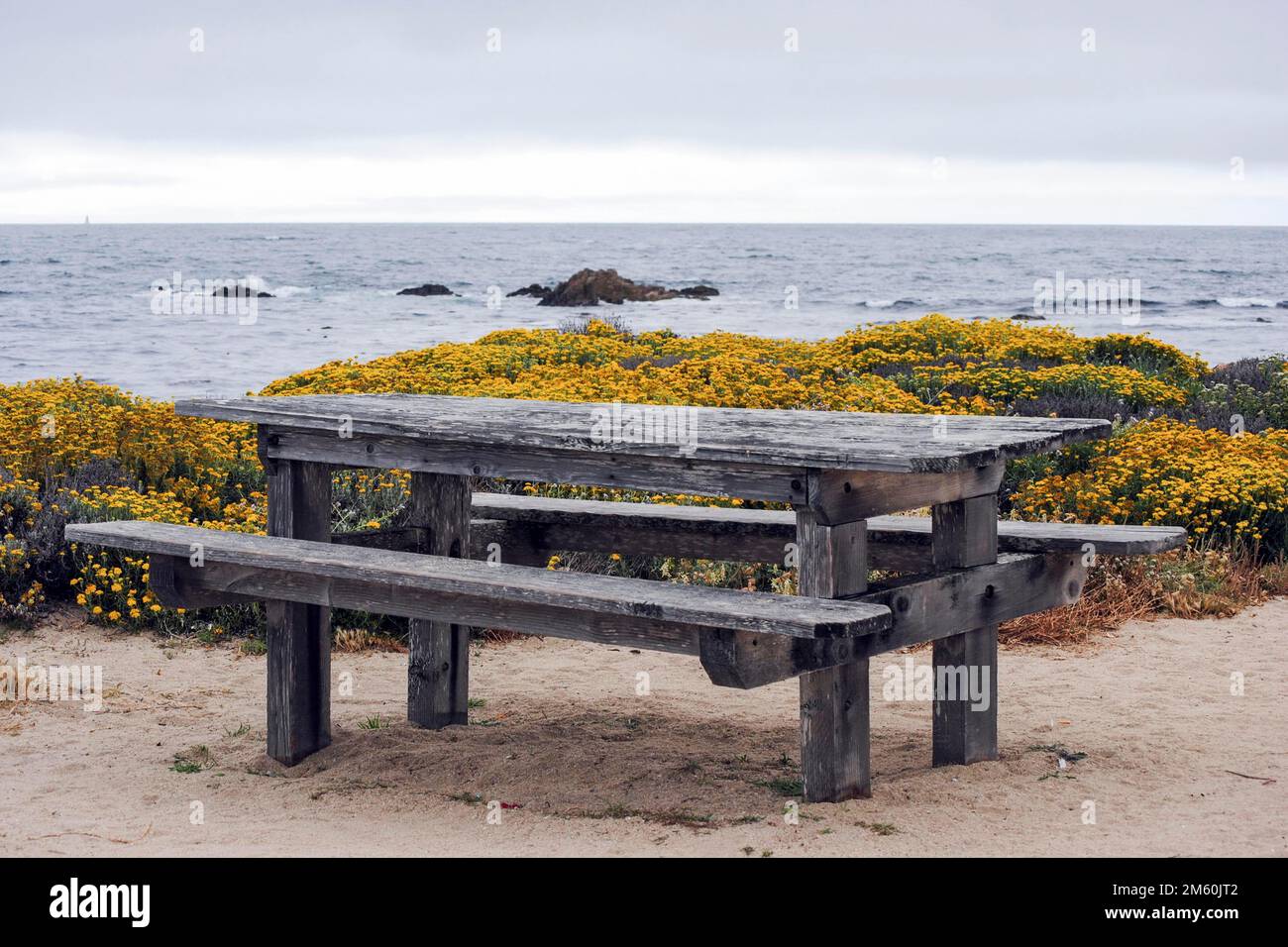 Wooden table and bench near the ocean on 7 Mile Drive. 17 Mile Drive is ...