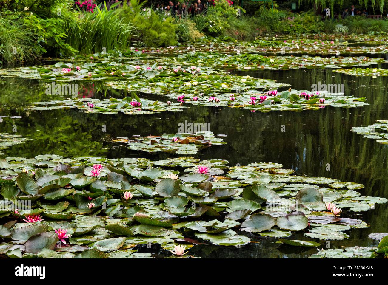 France The Water Lily Pond