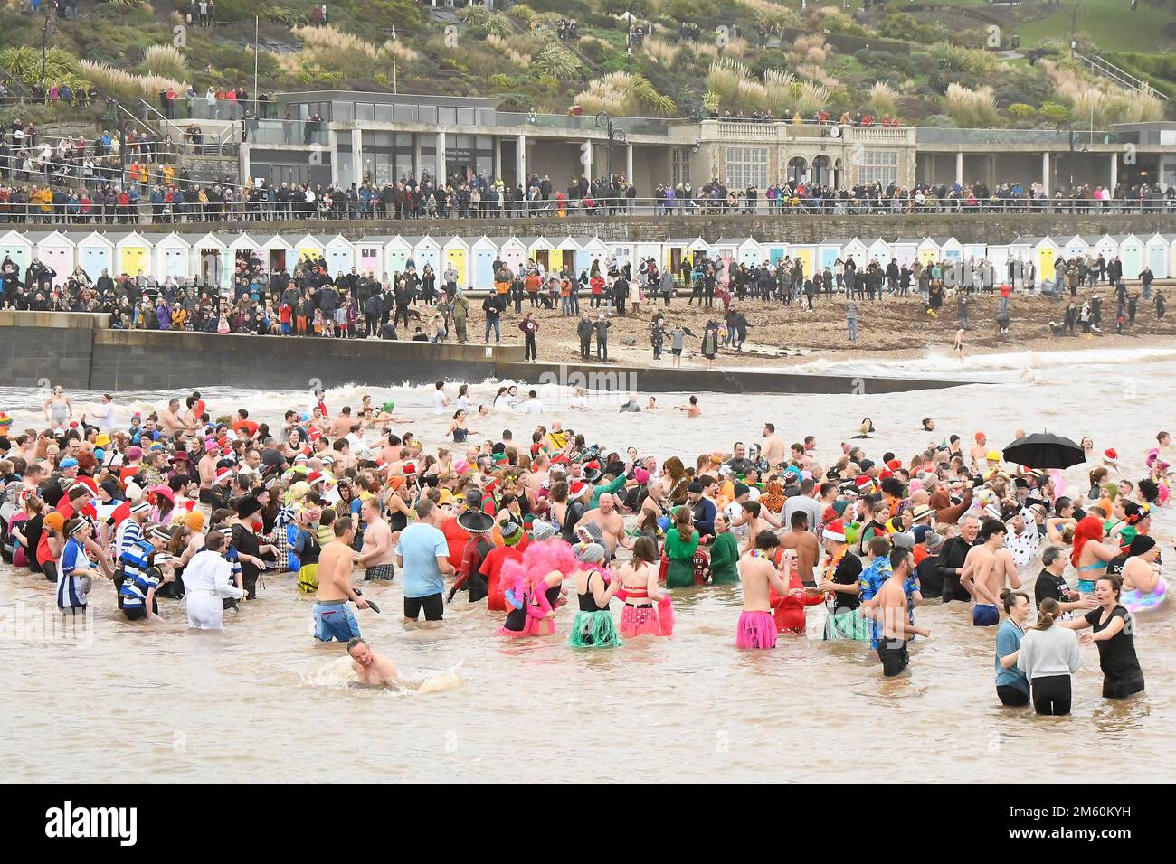 Lyme Regis, Dorset, UK. 1st January 2023. Hundreds of New Years Day ...
