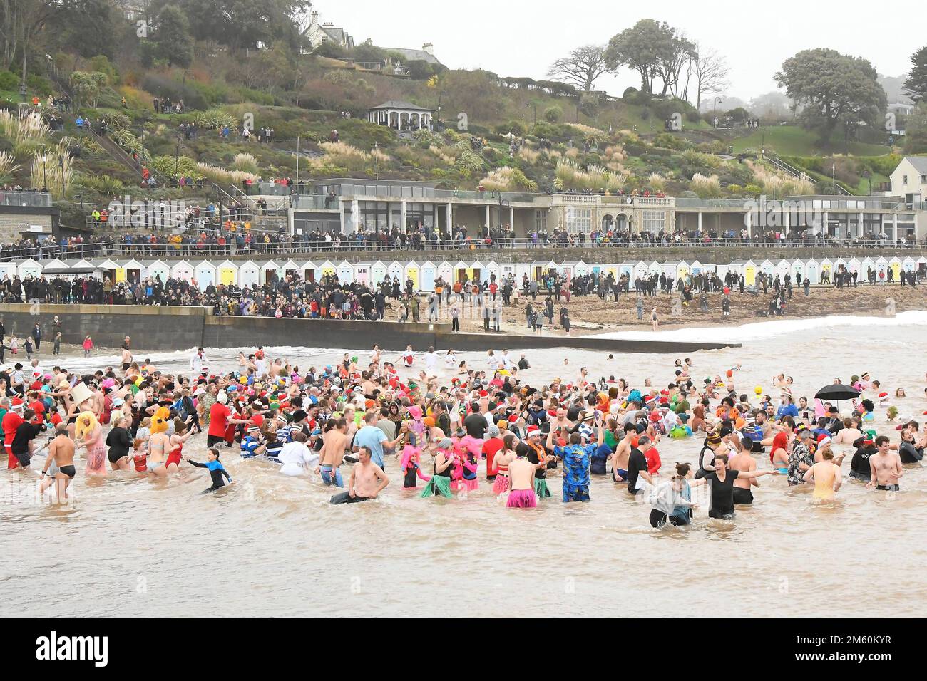 Lyme lunge hi-res stock photography and images - Alamy