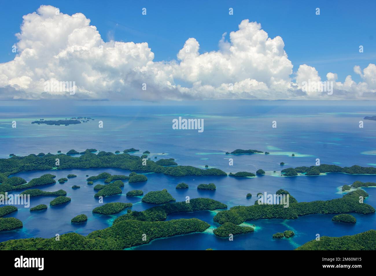 Aerial view of white cumulus cloud (Cumulus) on the horizon over ...
