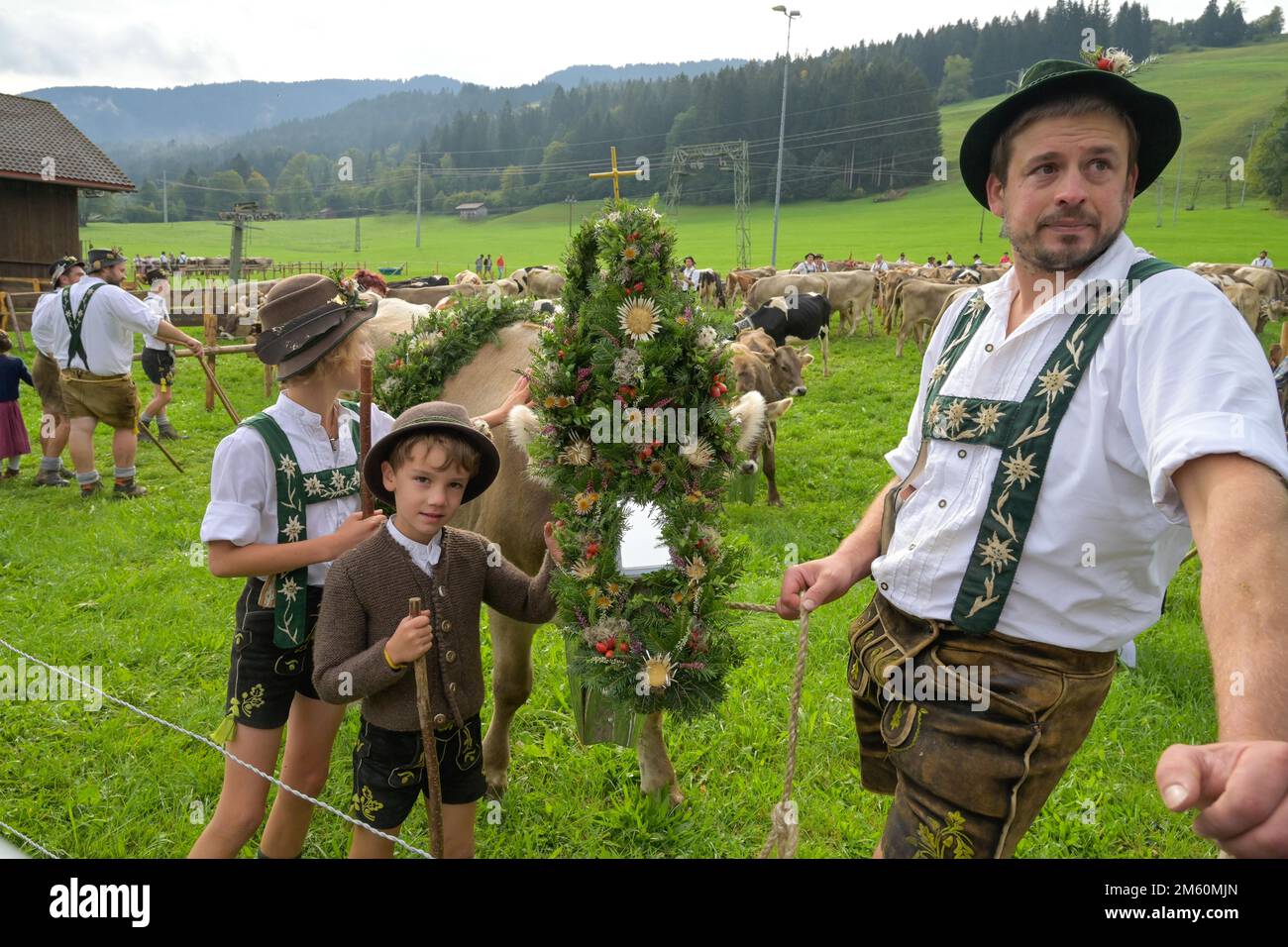 16. 09. 2022. Almabtrieb, cattle seperation in Thalkirchdorf, Markt ...