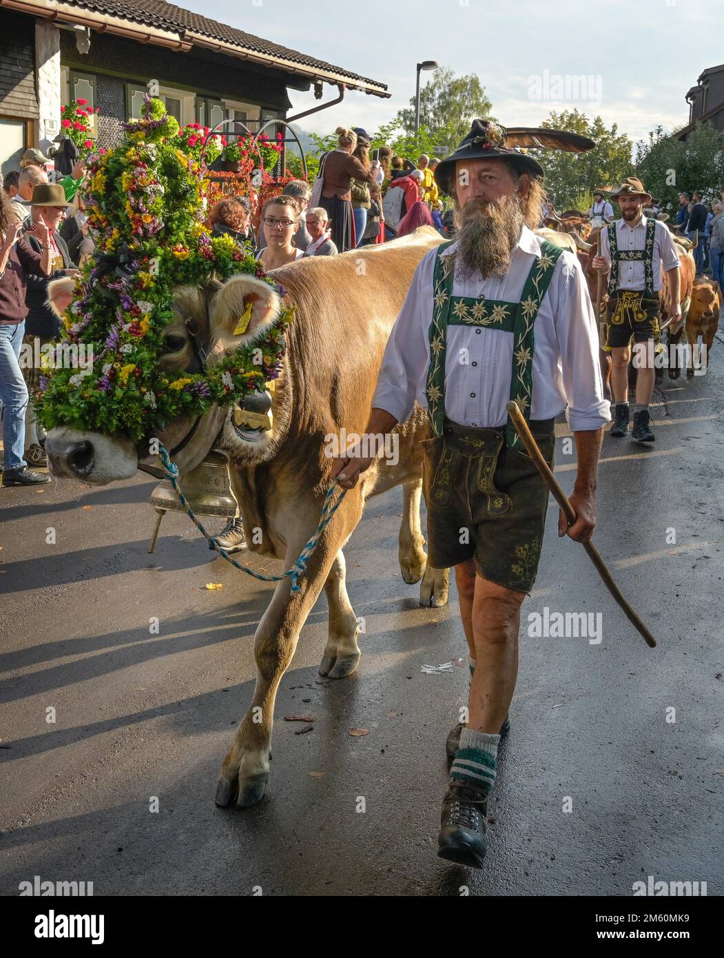 16. 09. 2022. Almabtrieb, cattle seperation in Thalkirchdorf, Markt ...