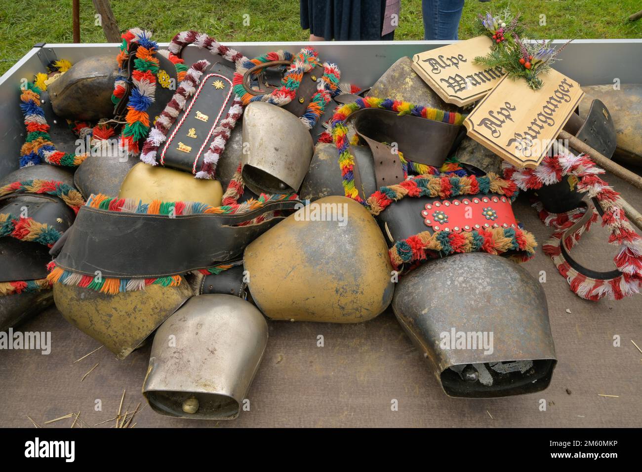 16. 09. 2022. cow bells from the Almabtrieb, cattle seperation in ...