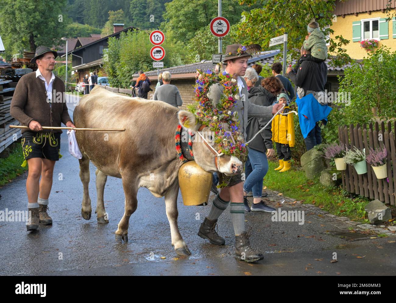 16. 09. 2022. Almabtrieb, cattle seperation in Thalkirchdorf, Markt ...
