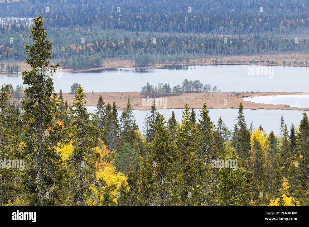 An open view to autumnal lakes, bogs and forests shot from a hill in ...