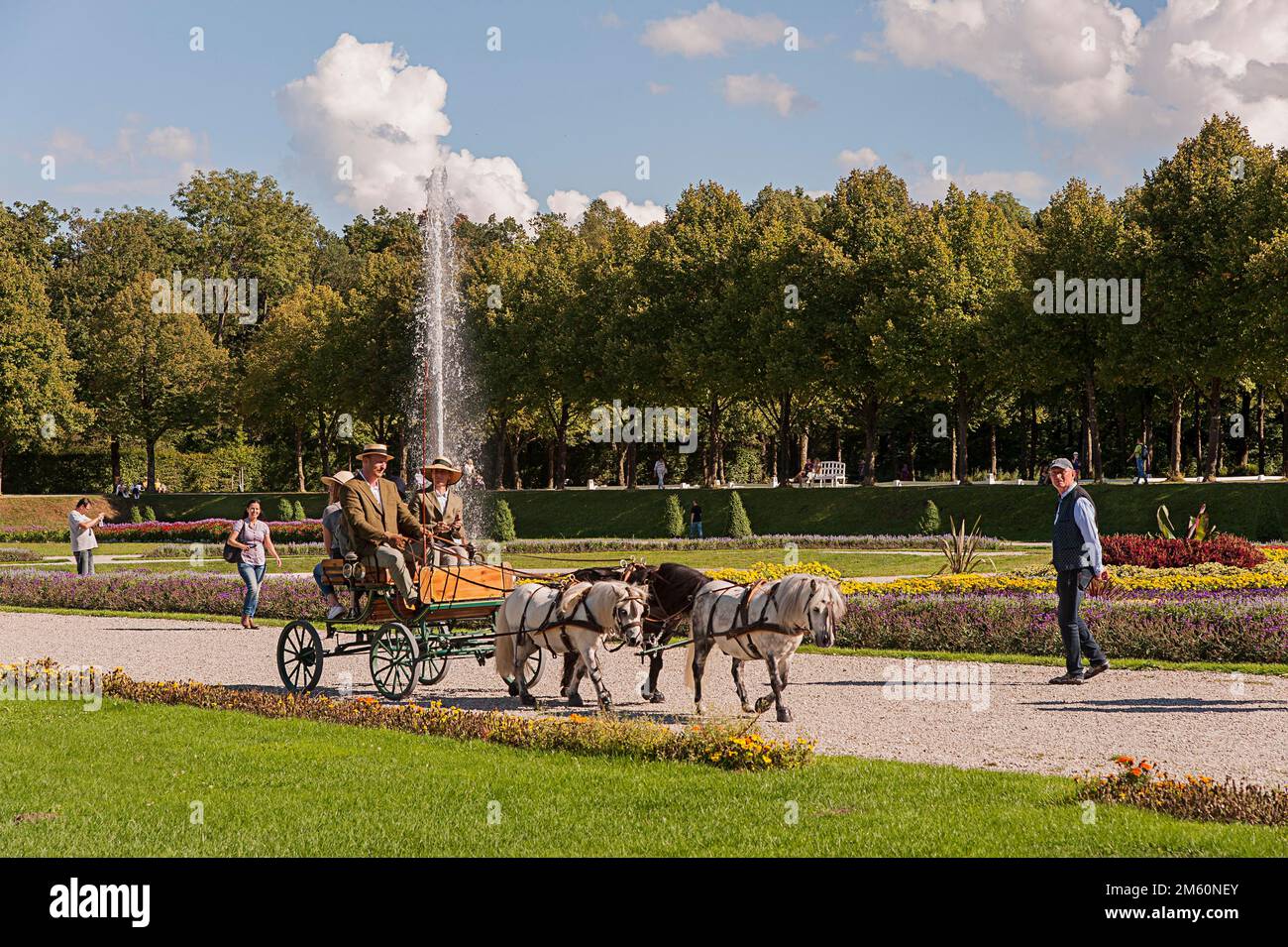 Carriage pulled by ponies, Historic Hunting and Carriage Gala, in the ...