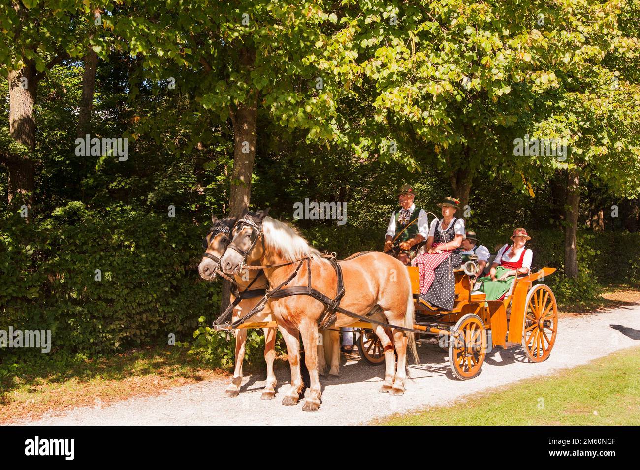 Carriage of persons hi-res stock photography and images - Alamy