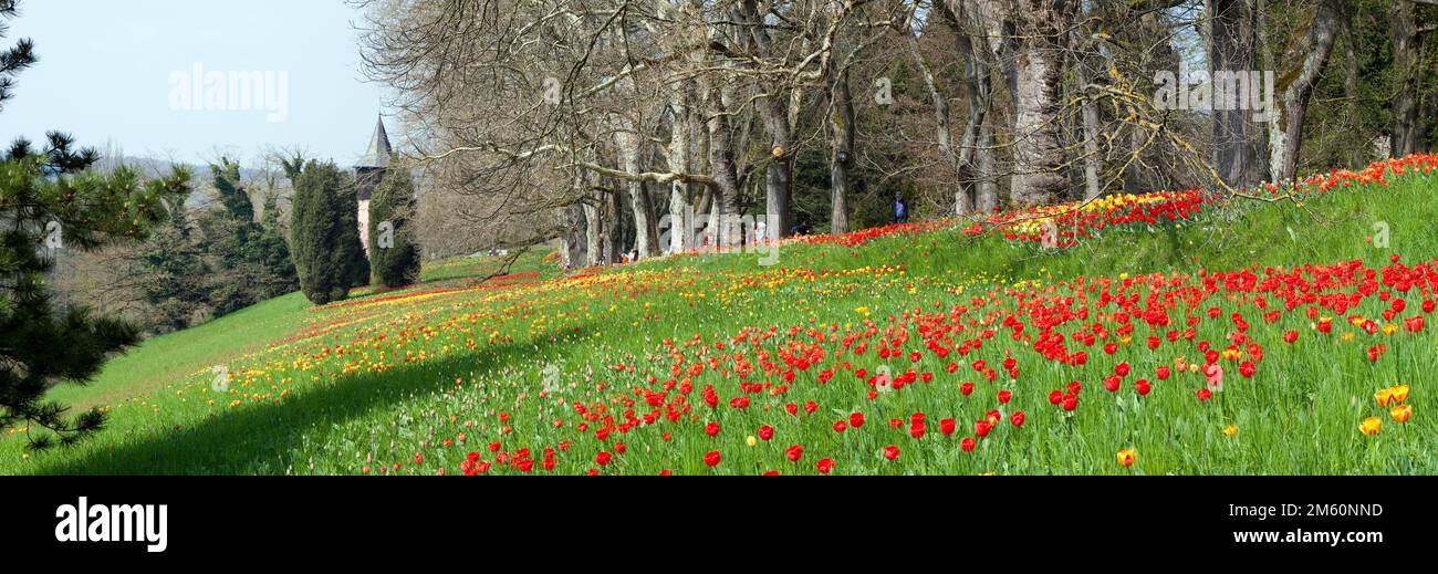 Spring on Mainau Island Panorama Germany Stock Photo - Alamy