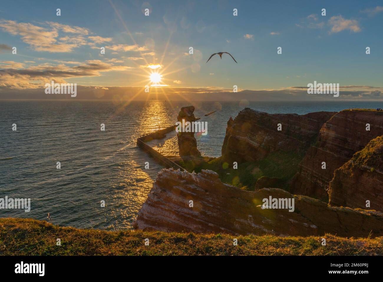 Red red sandstone cliff edge, Heligoland high sea island, Lange Anna ...