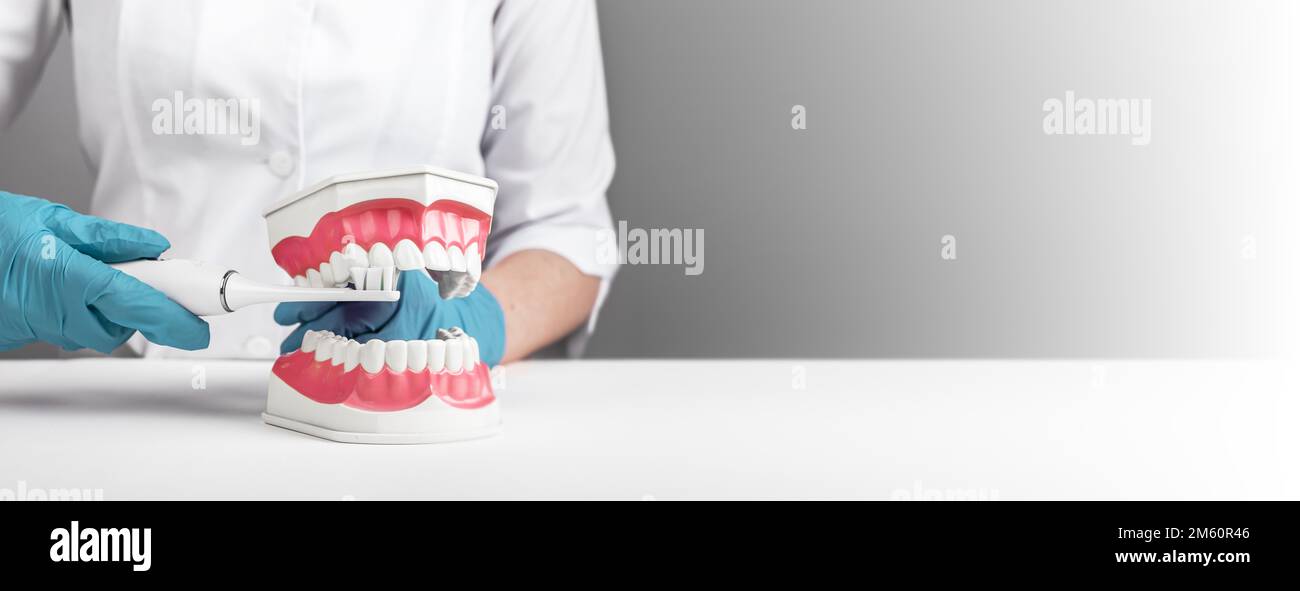 White healthy clean teeth, jaw model. Ad banner for dentistry, tooth ...
