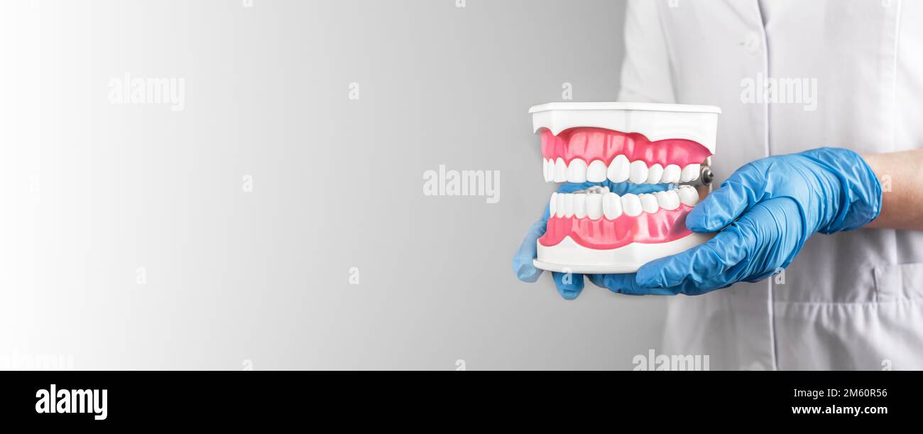 White healthy clean teeth, jaw model. Ad banner for dentistry, tooth ...