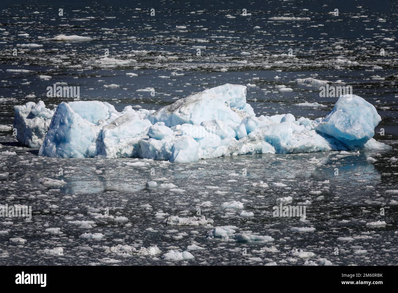 Floating ice in the Enchantement Bay, Alaska Stock Photo - Alamy
