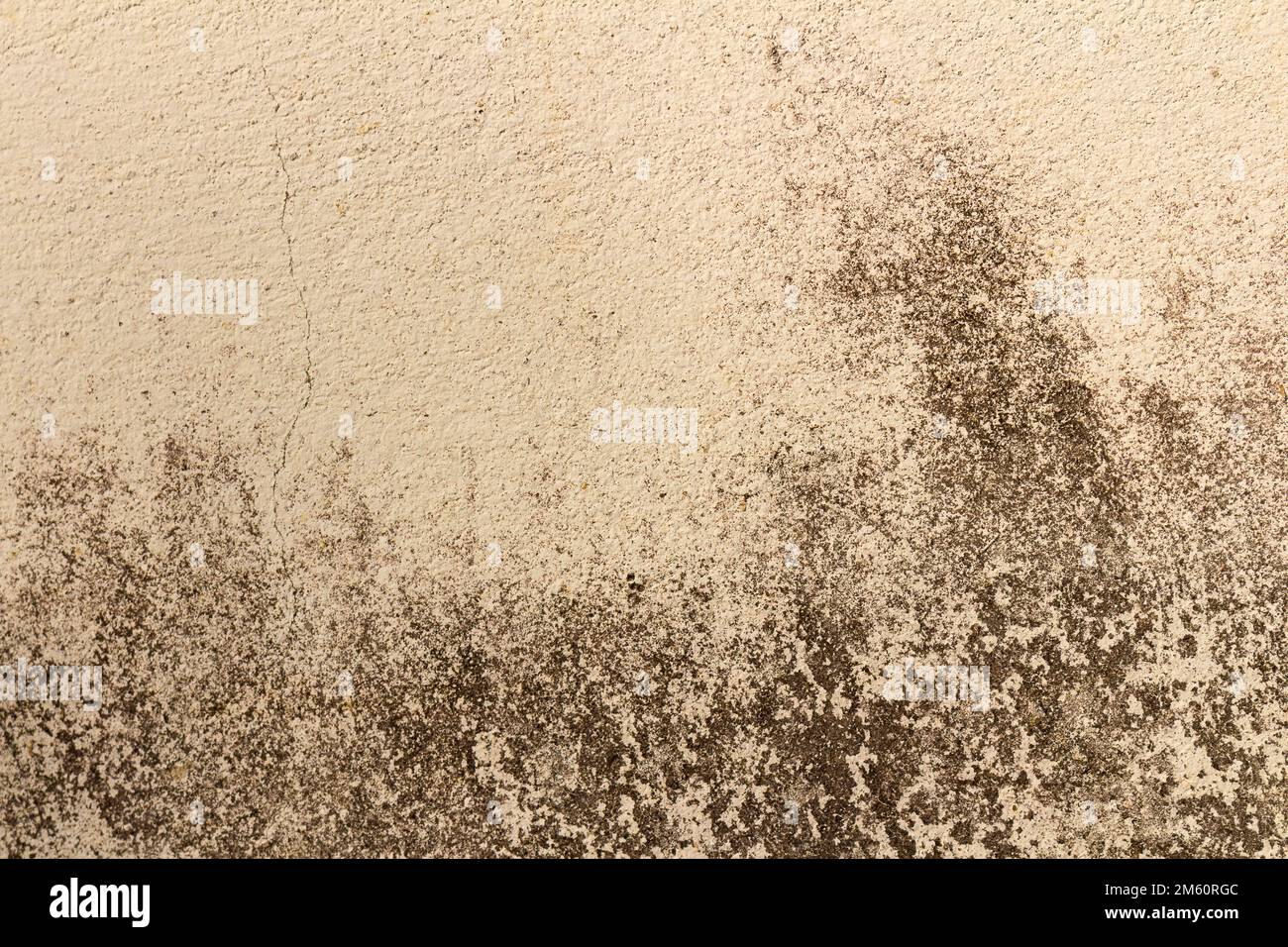 dirty wall texture color cream and white old Stock Photo - Alamy
