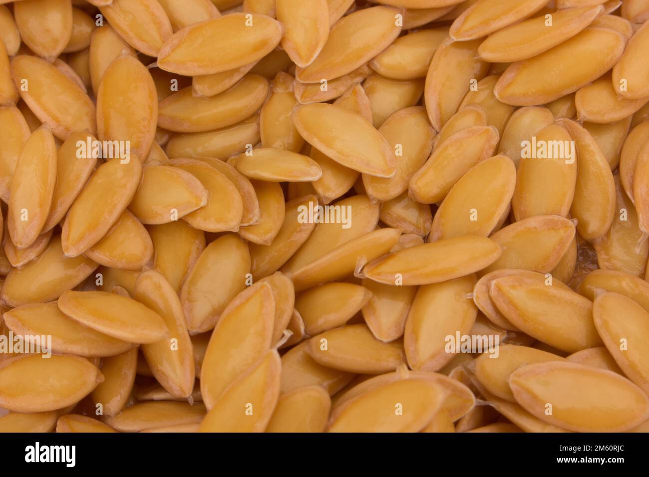 melon seeds background dry ripe Stock Photo - Alamy