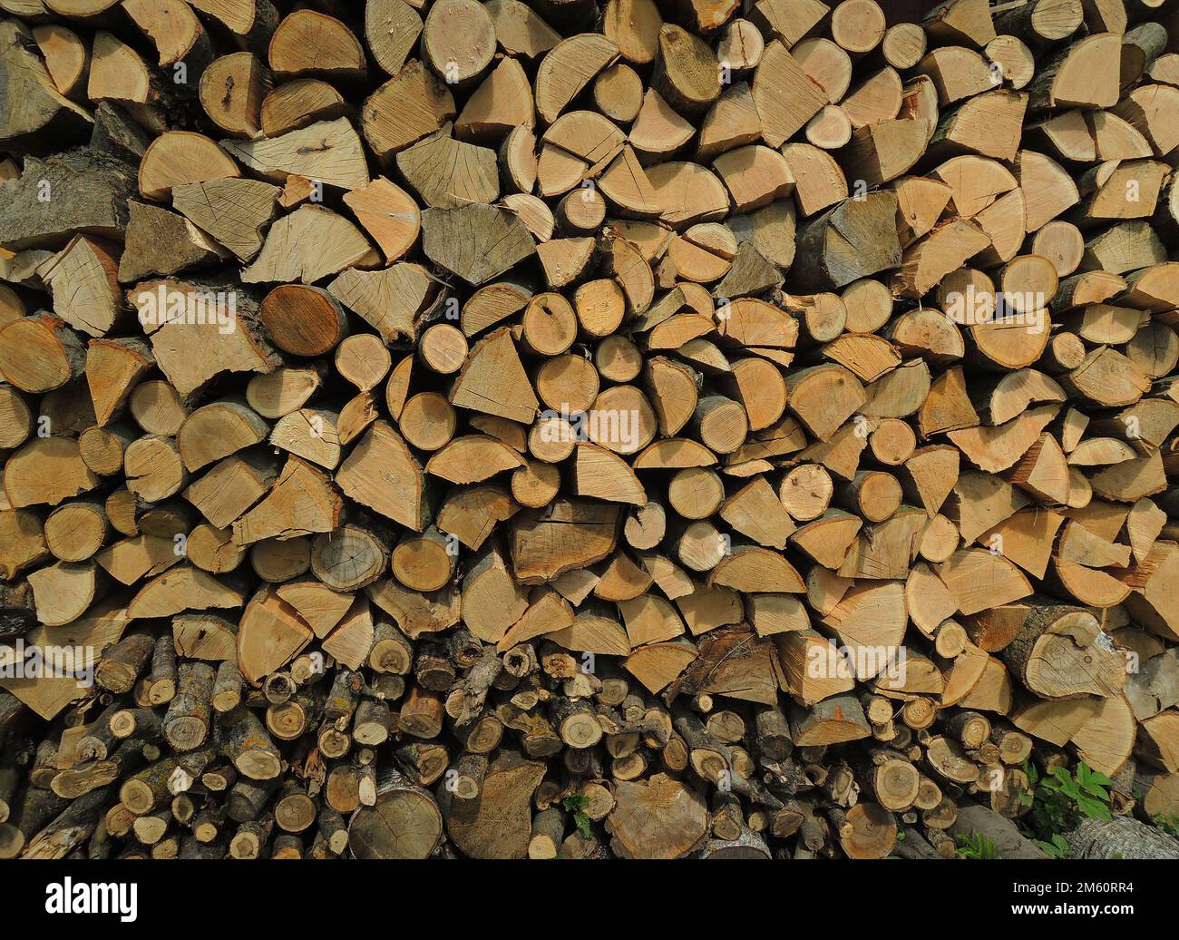 Whole life order hi-res stock photography and images - Alamy