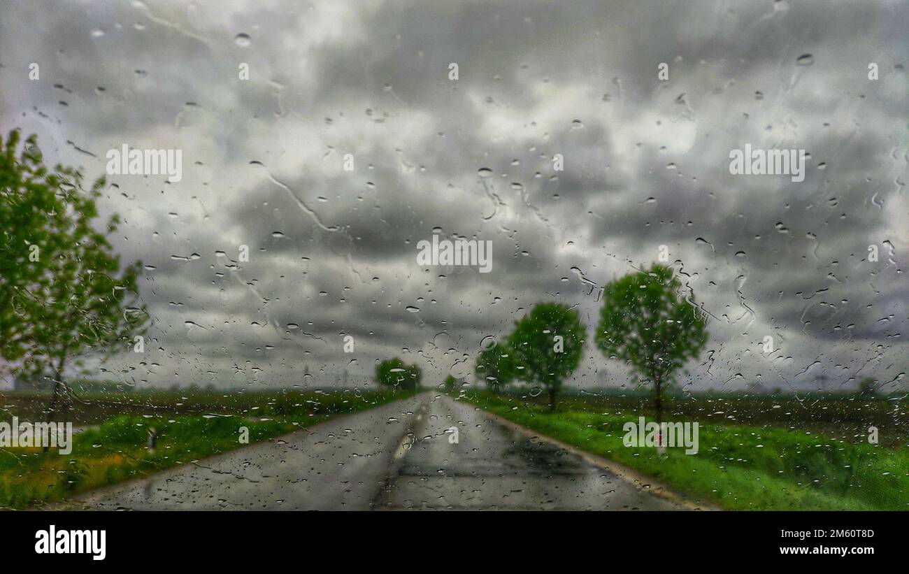 An asphalt road surrounded by trees in a rainy day seen behind a car ...