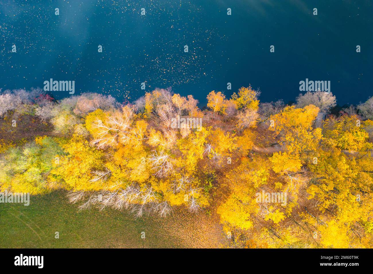 Vibrant colored trees and blue water at autumn time. Aerial view from ...