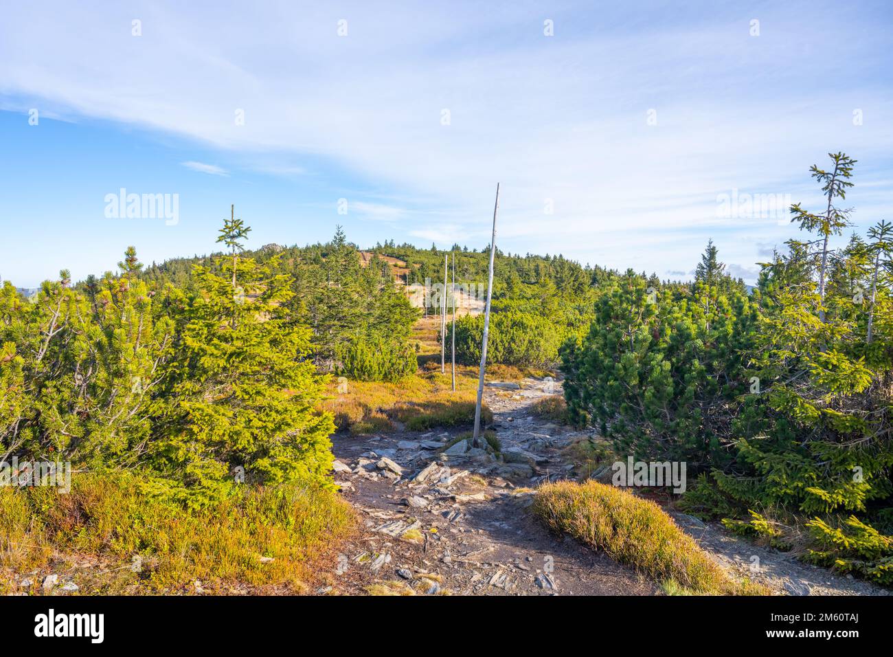 Narrow mountain tourist path marked with wooden poles. Cold and sunny ...