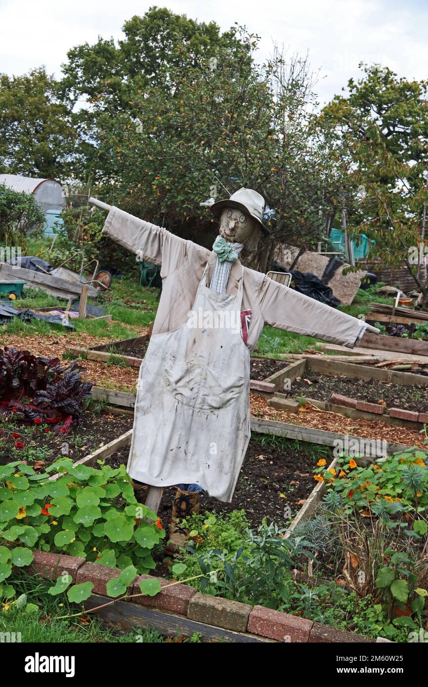 Traditional scarecrow hi-res stock photography and images - Alamy