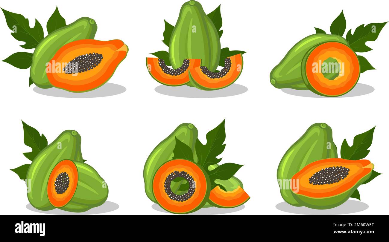Papaya cartoon designs Stock Vector Image & Art - Alamy
