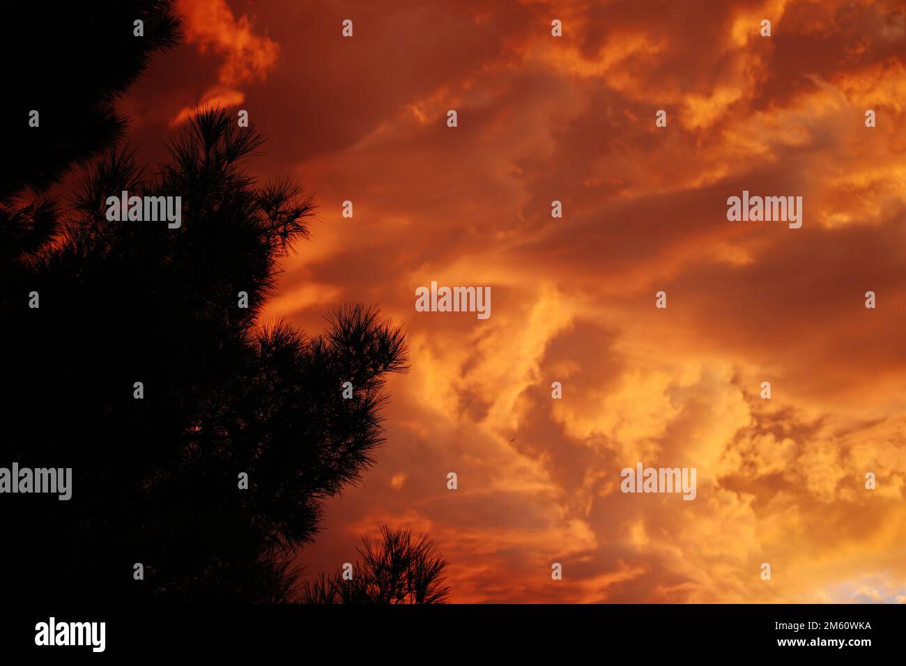 Lord of the rings ring of fire hi-res stock photography and images - Alamy