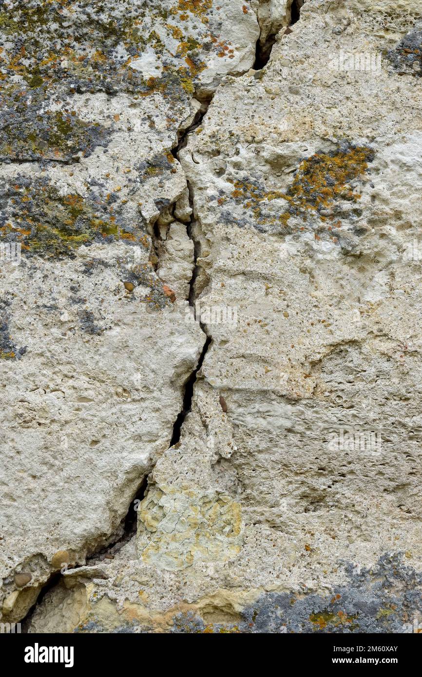 Big crack on gray wall with moss, abstract image of diagonal cleft ...