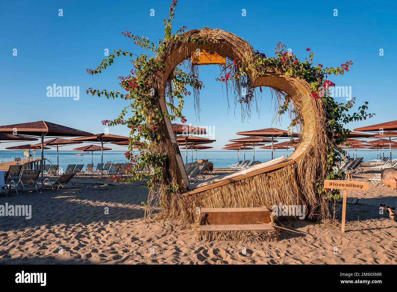 Heart shaped structure decorated with plants and flowers at sandy beach ...